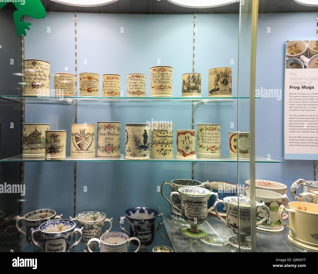 The Marjorie N Davies collection of Frog Mugs on display at the ...