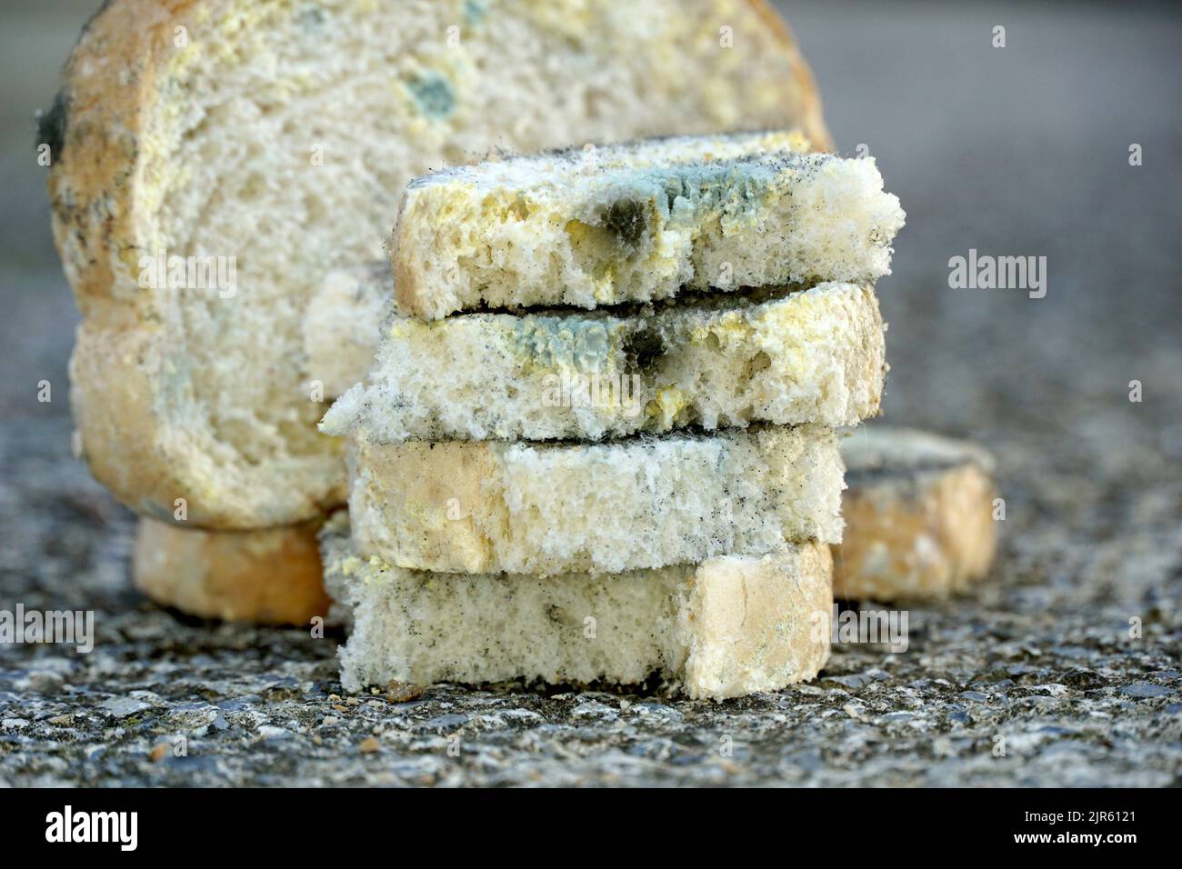 slices of bread covered with mold Stock Photo - Alamy