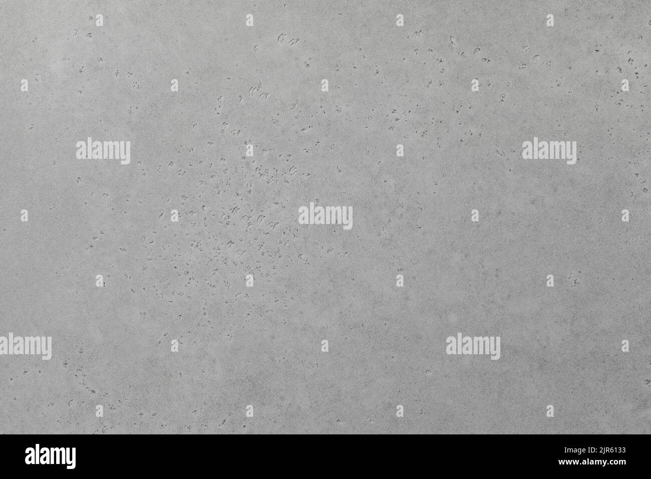 Stone gray texture background. Grey cement, concrete grunge surface Stock Photo - Alamy