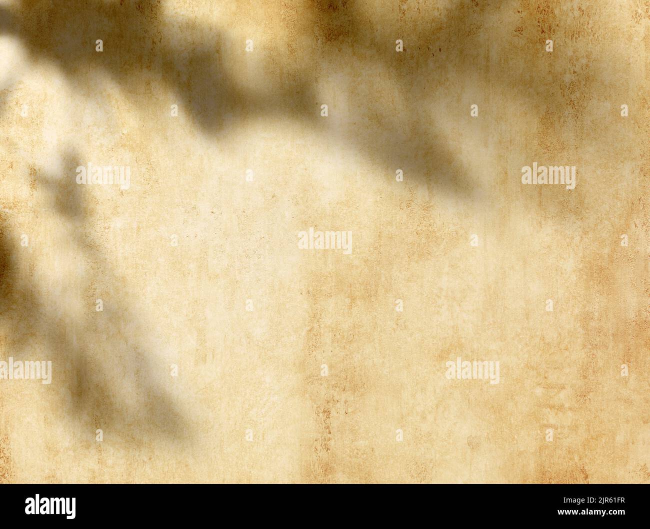 Brown cream background with palm leaf shadow Stock Photo - Alamy