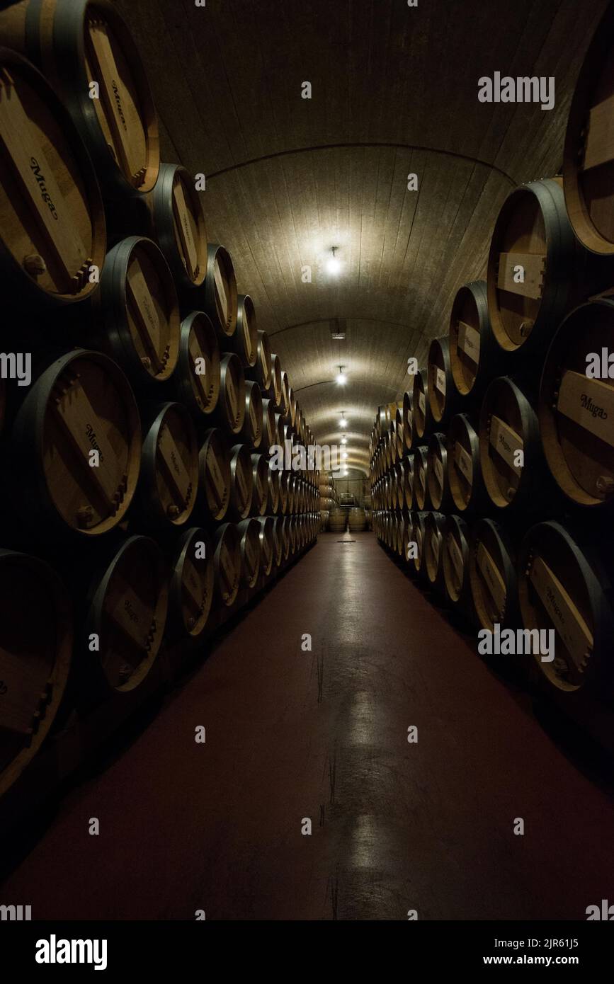 Visit to Bodegas Muga in Haro, La Rioja Stock Photo - Alamy