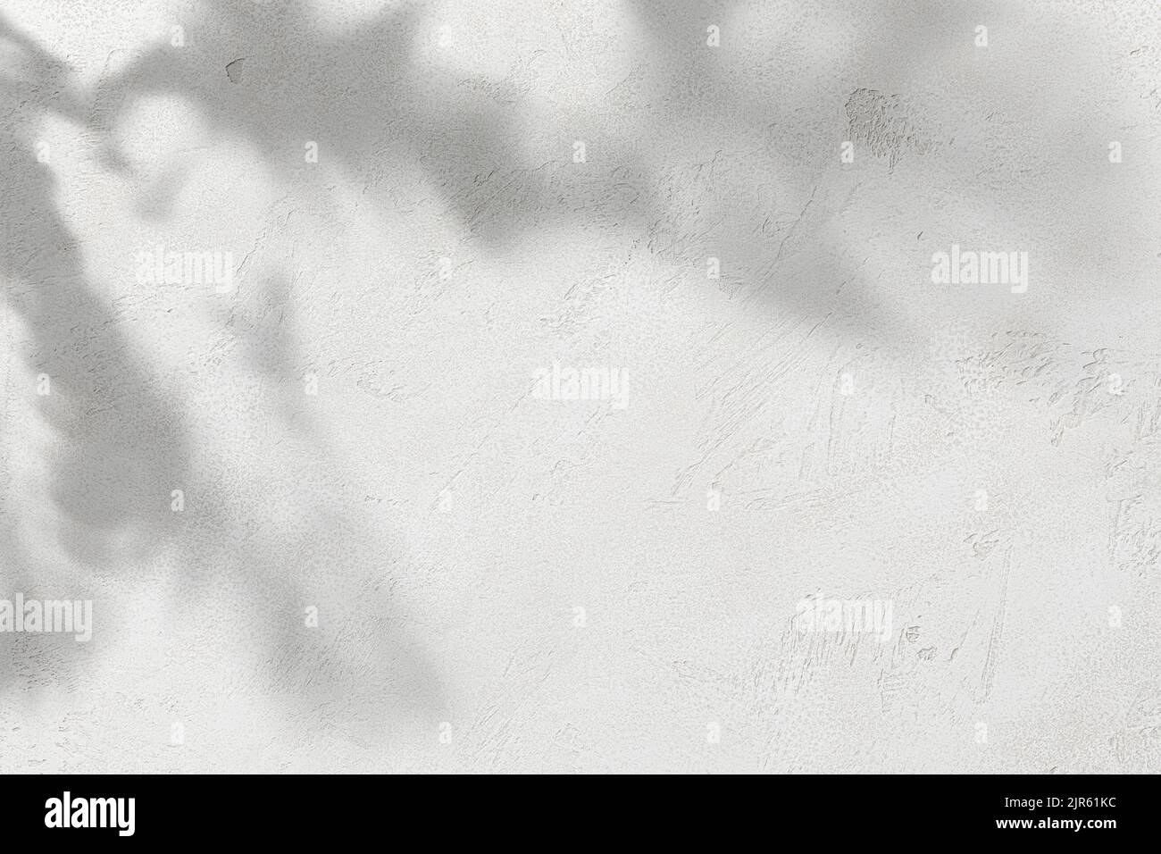 Abstract natural leaves shadow background on white grey color wall ...
