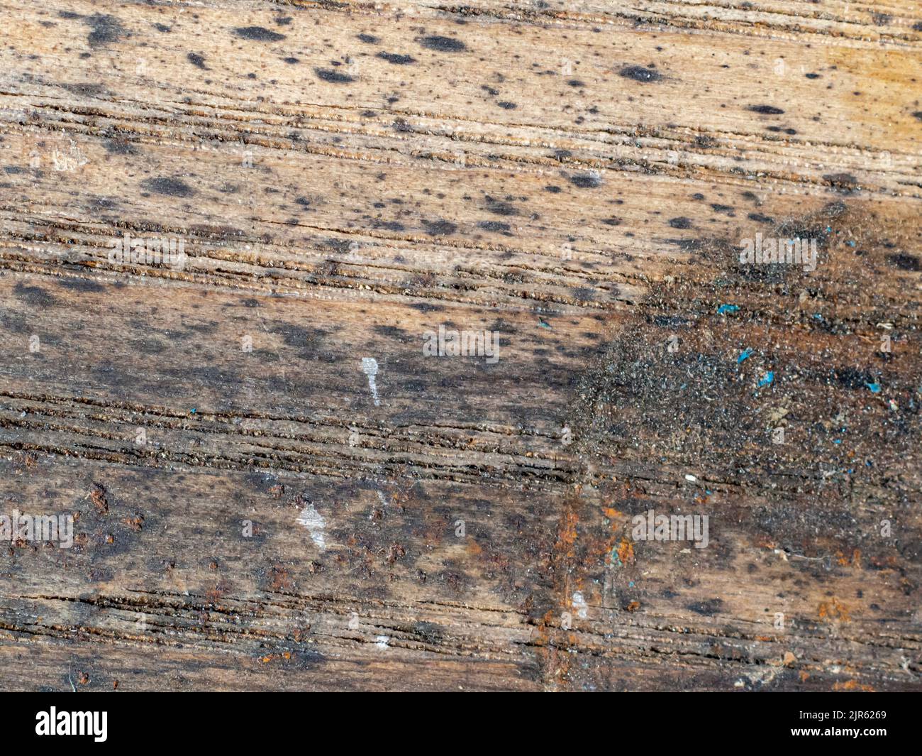 texture of old deteriorated and broken wood. Resources and textures ...