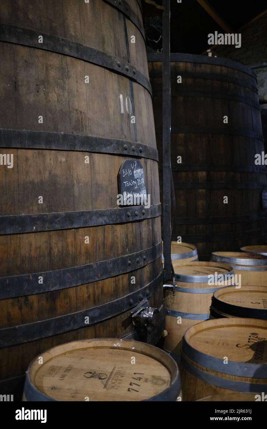 Wine manufacture hi-res stock photography and images - Alamy