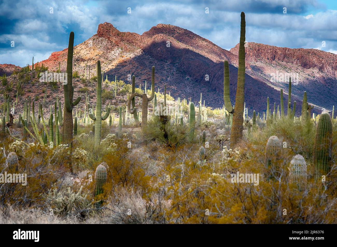 Beautiful and diverse desert landscape from The Superstitions, southern ...