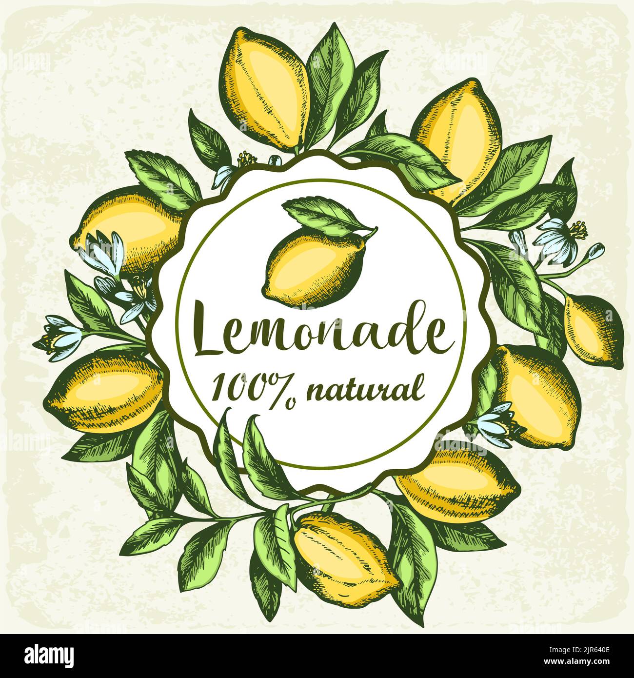 Vintage hand drawn lemonade label with citrus branch Stock Photo - Alamy