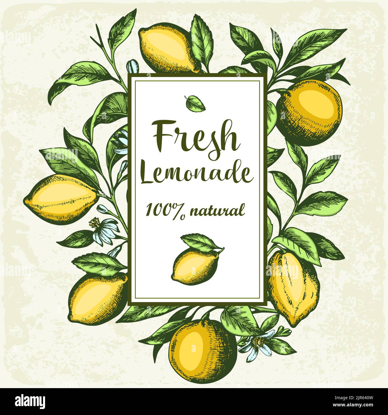 Vintage hand drawn lemonade label with citrus branch Stock Photo - Alamy