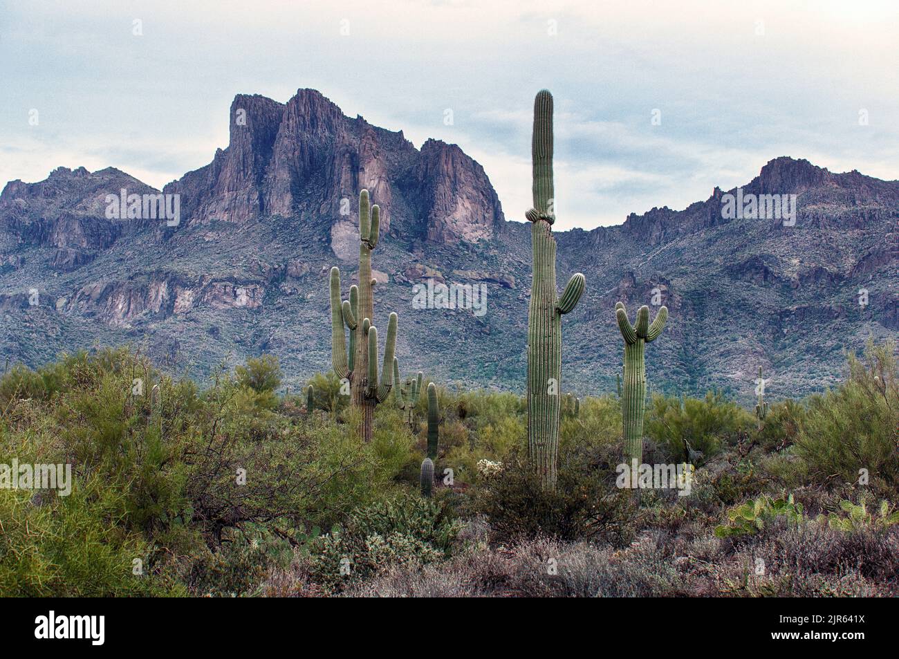 Arizona landscape usa hi-res stock photography and images - Alamy