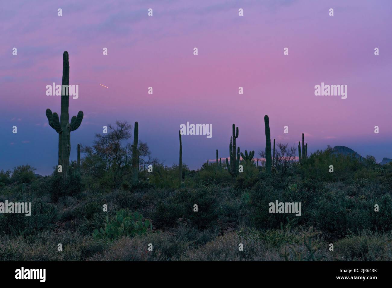 Early morning in the desert. Landscape from the Superstitions, southern ...