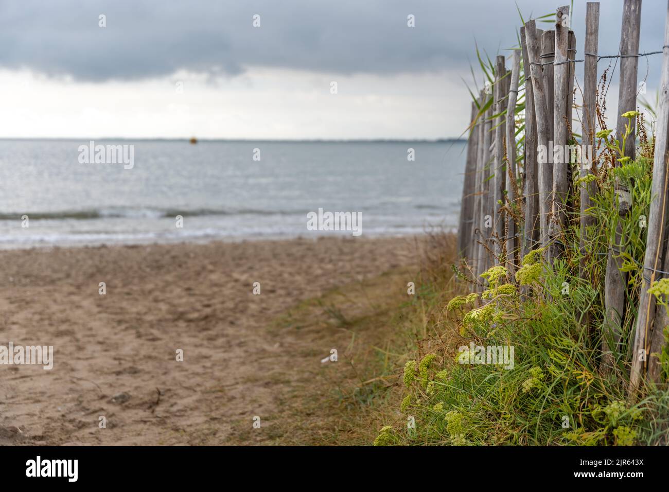 Beautiful seaside pathway along coast hi-res stock photography and ...