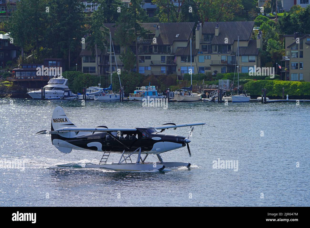 FRIDAY HARBOR, WA -1 OCT 2021- View of a Kenmore Air floatplane painted ...