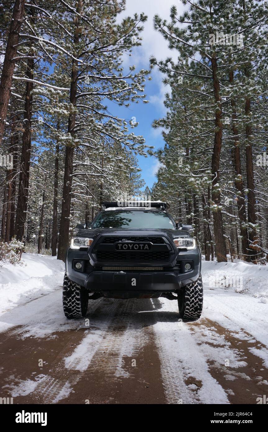 A vertical shot of a black Toyota Tacoma on the narrow trail between ...