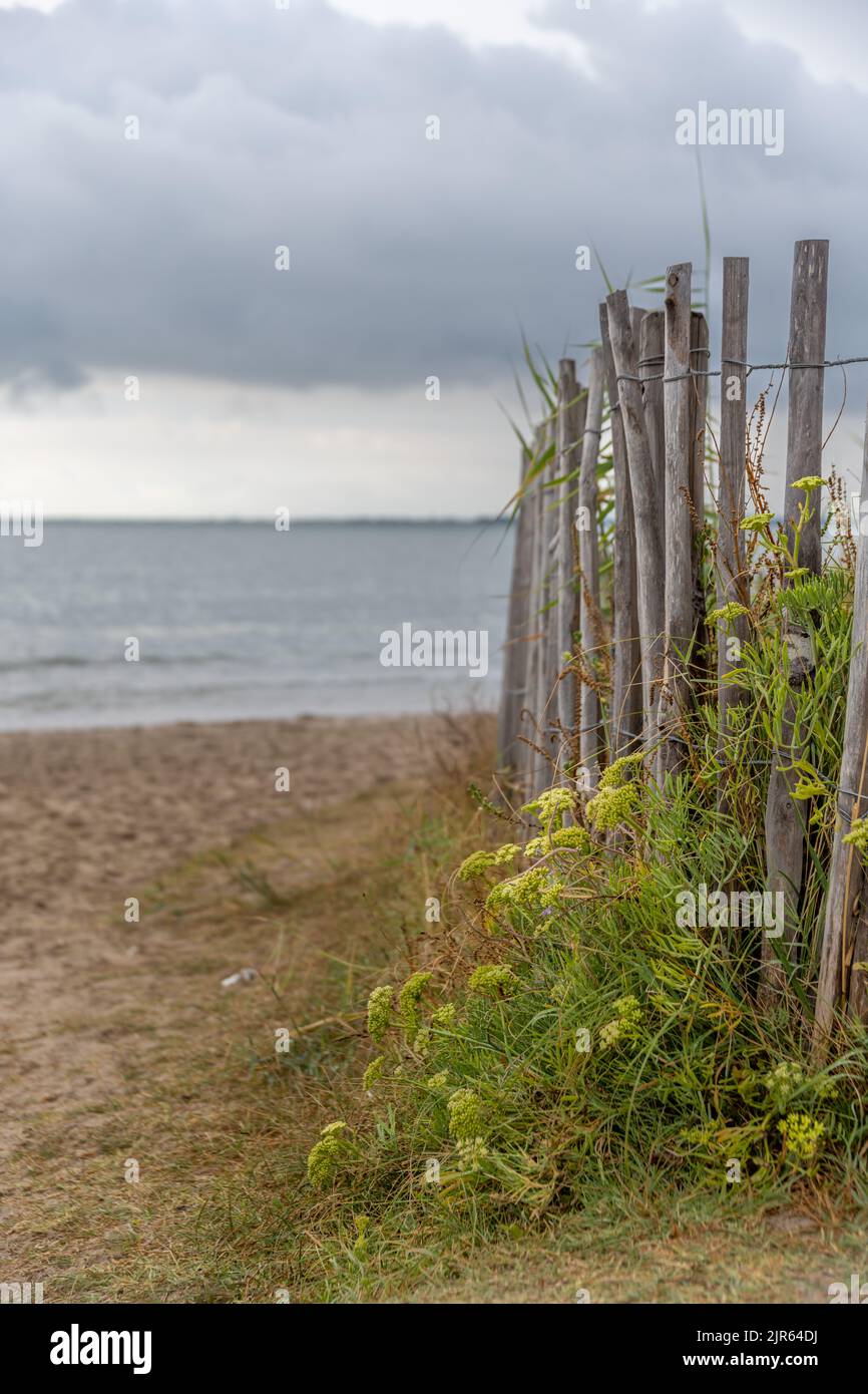 very nice walk along the coastal path of Brittany Stock Photo - Alamy