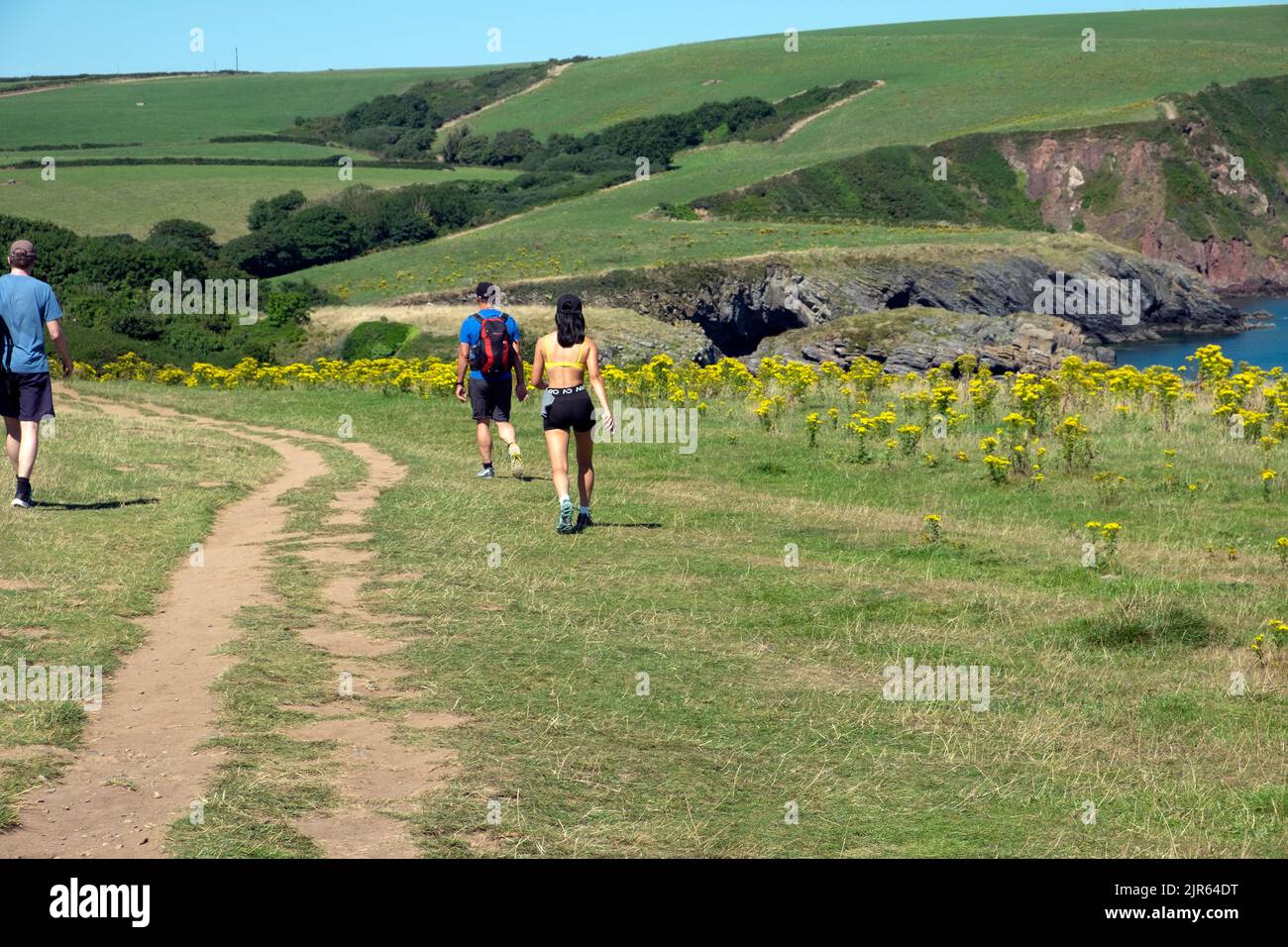 Rear back view of people walkers walking on Welsh coast path with ...
