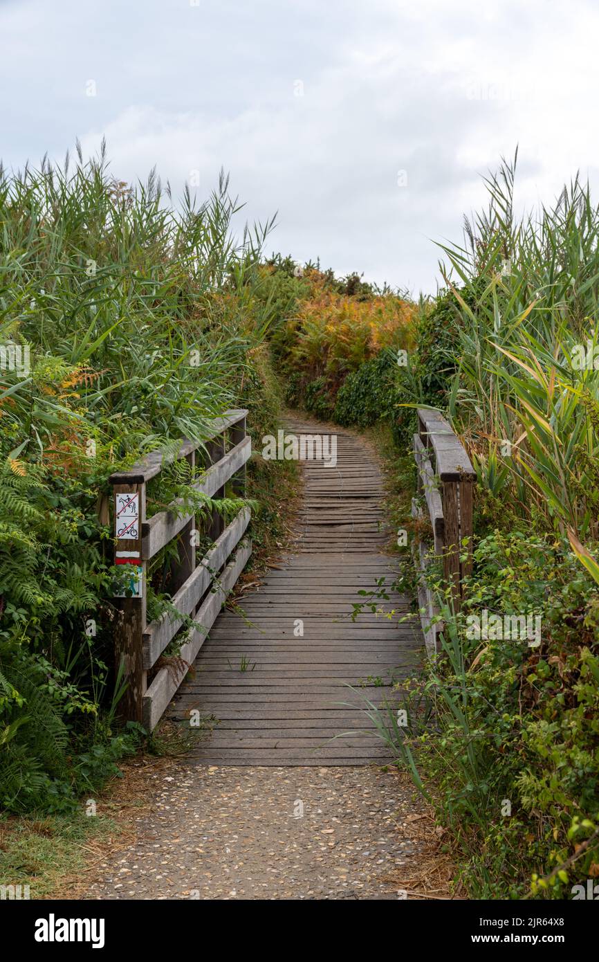 very nice walk along the coastal path of Brittany Stock Photo - Alamy