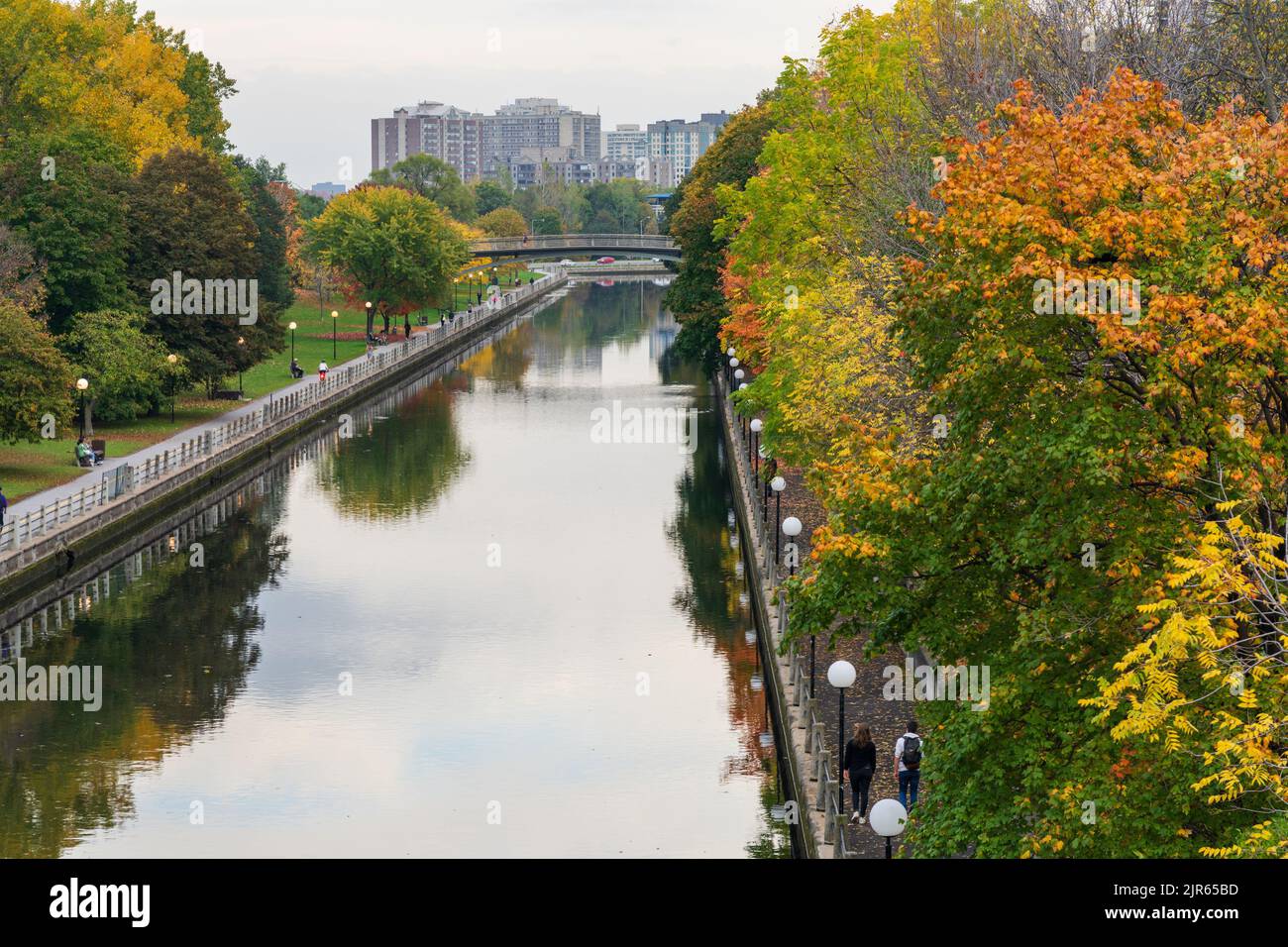 Autumn red leaves scenery in Ottawa, Ontario, Canada. Fall foliage in ...