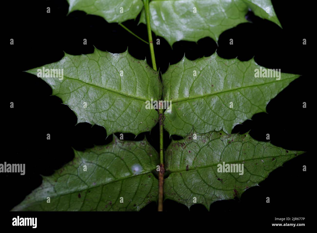 (220822) -- CHENGDU, Aug. 22, 2022 (Xinhua) -- Photo taken by ...