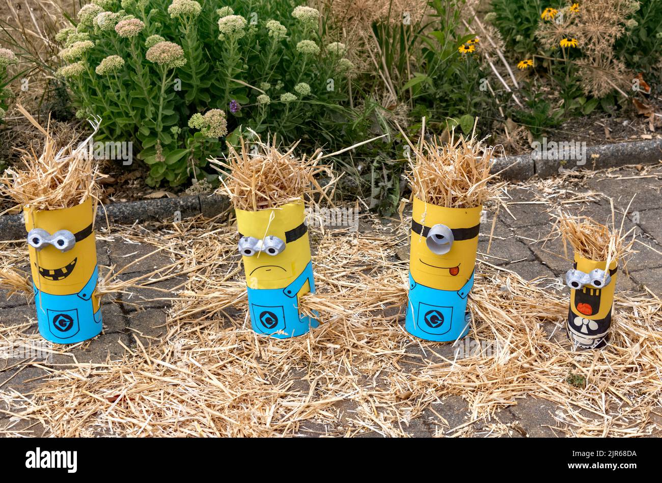 Flamstead Scarecrow Festival 2022 - Minion scarecrows standing on straw ...
