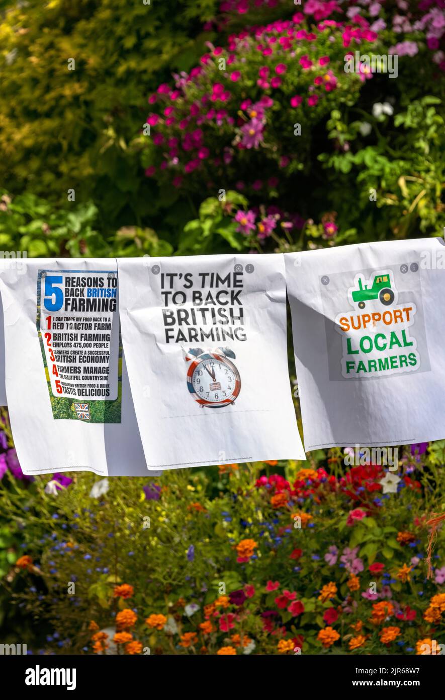 Flamstead Scarecrow Festival -Back British Farming flyers with Support ...