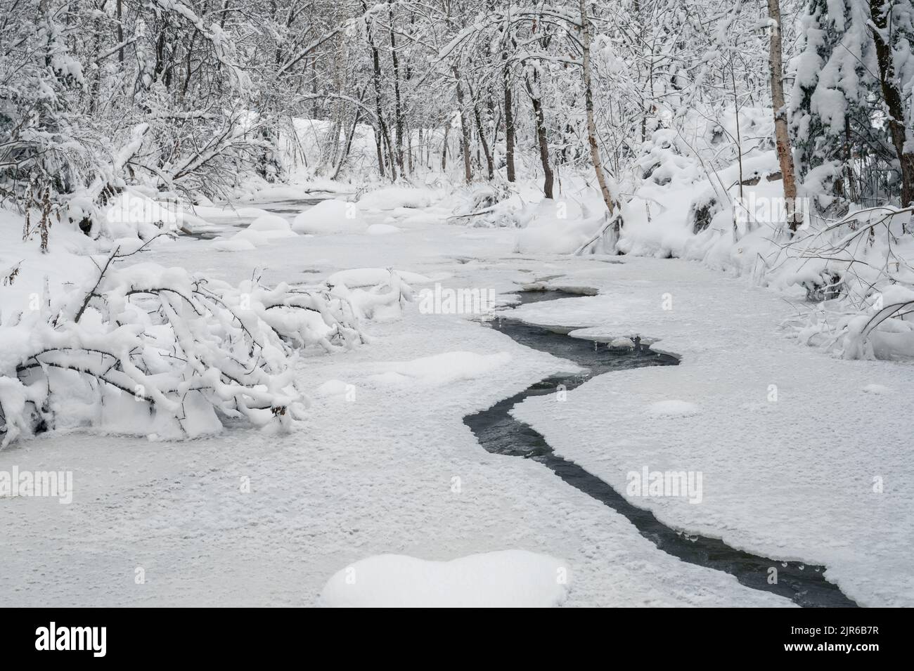 Winter landscape with fair trees under the snow Stock Photo - Alamy