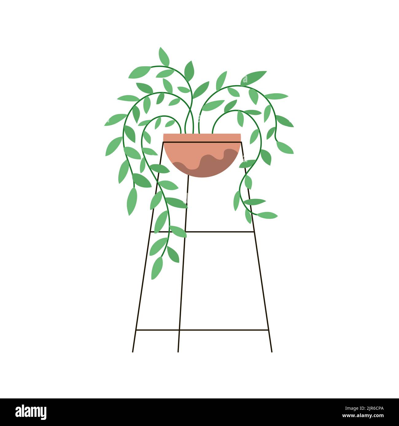 Decorative home flower. Pot with green plant. Object of a room interior ...