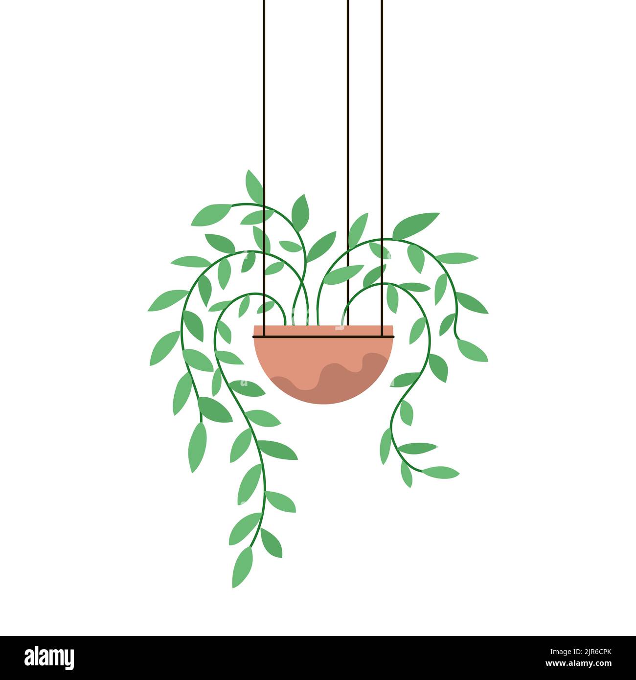 Decorative home flower. Pot with green plant. Object of a room interior ...