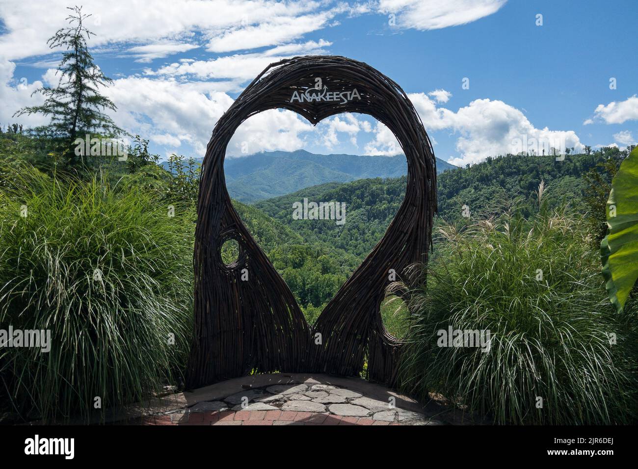 Anakeesta is a mountaintop adventure park for all ages that sits in the ...