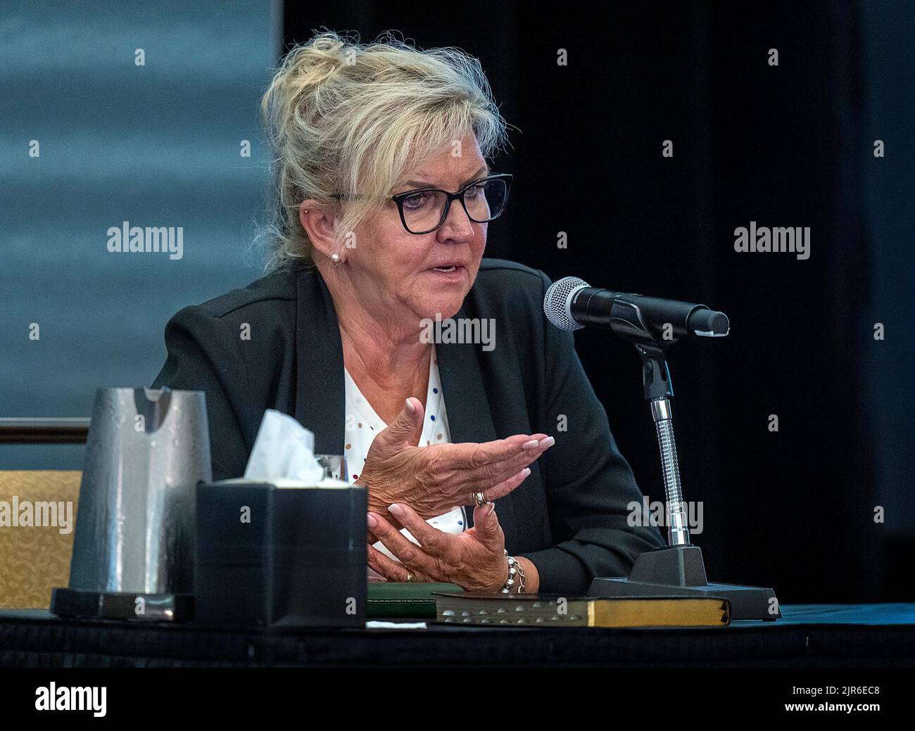 Lee Bergerman, former assistant commissioner and recently retired ...