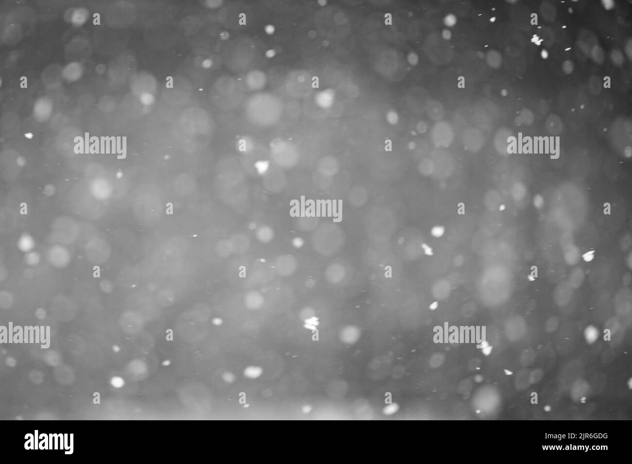 Bokeh of white snow on a gray background. Snowfall - new design element ...