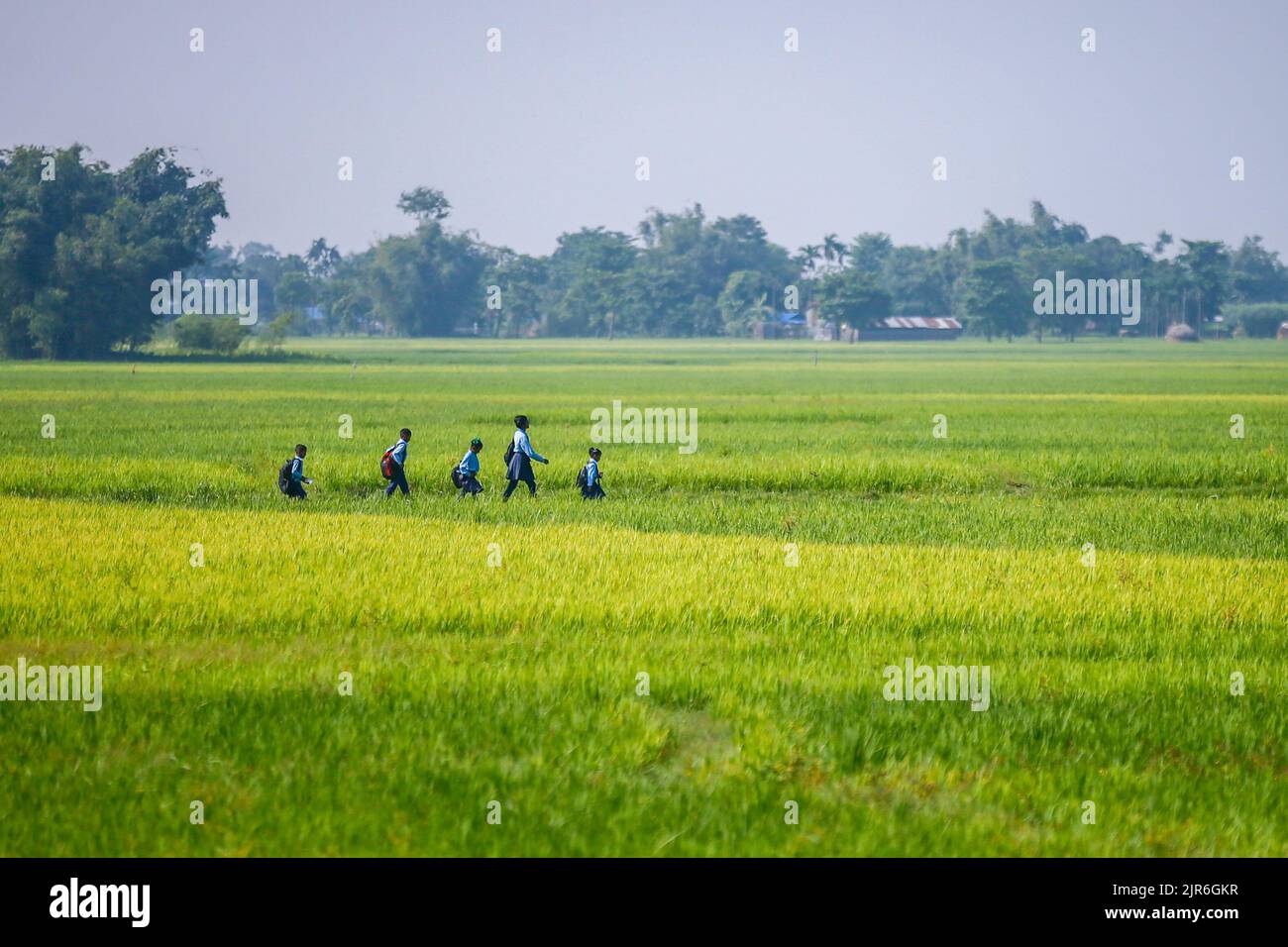 Jhapa district hi-res stock photography and images - Alamy