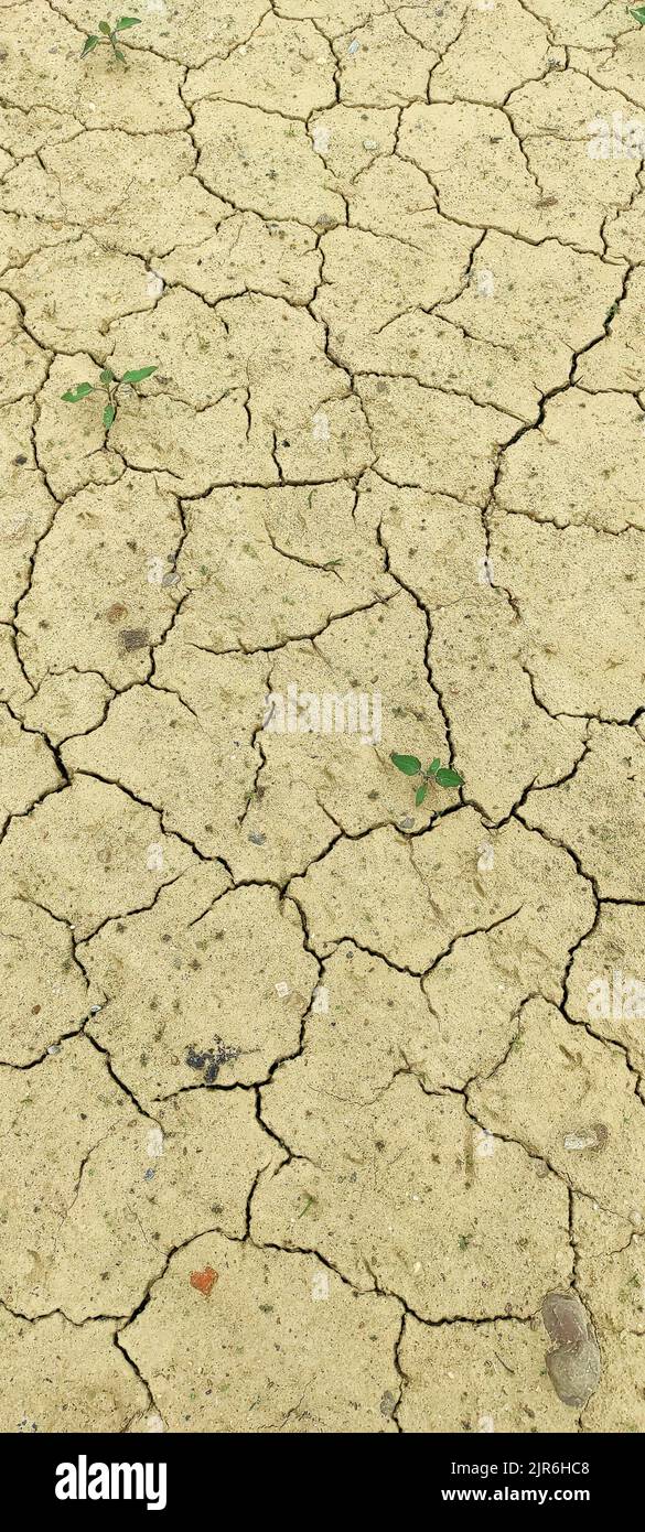 Dry land near a lake severe drought in france Stock Photo - Alamy