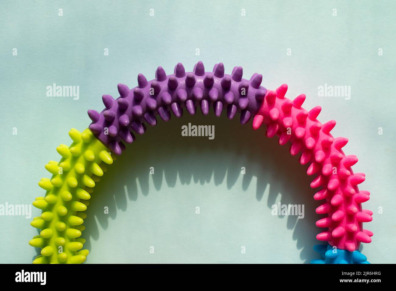 Top view of the chewy toy for domestic pets,copy space Stock Photo - Alamy