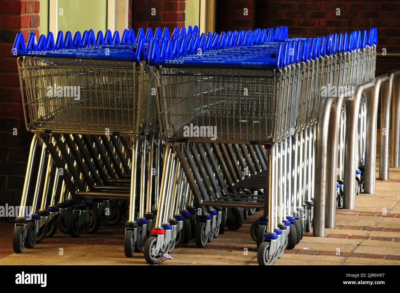 Tesco shopping trolleys parked Stock Photo - Alamy