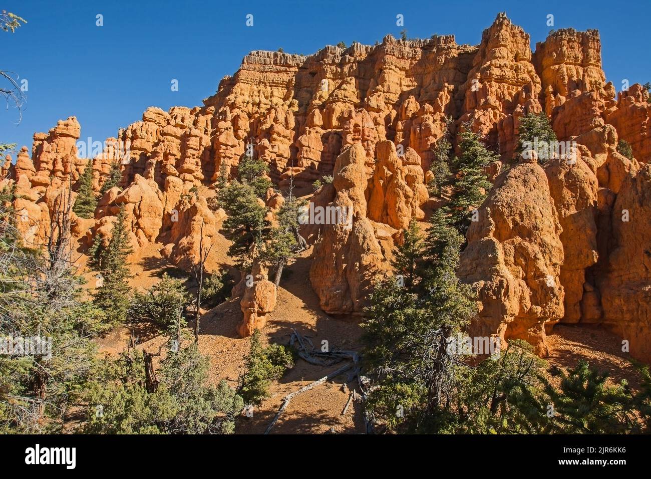 Castle Bridge Trail 2555 Stock Photo - Alamy