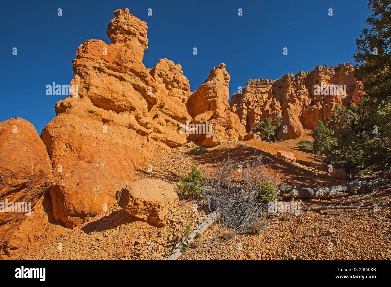 Hoodoos and trees on the Castle bridge Trail in Red Canyon, Dixie ...