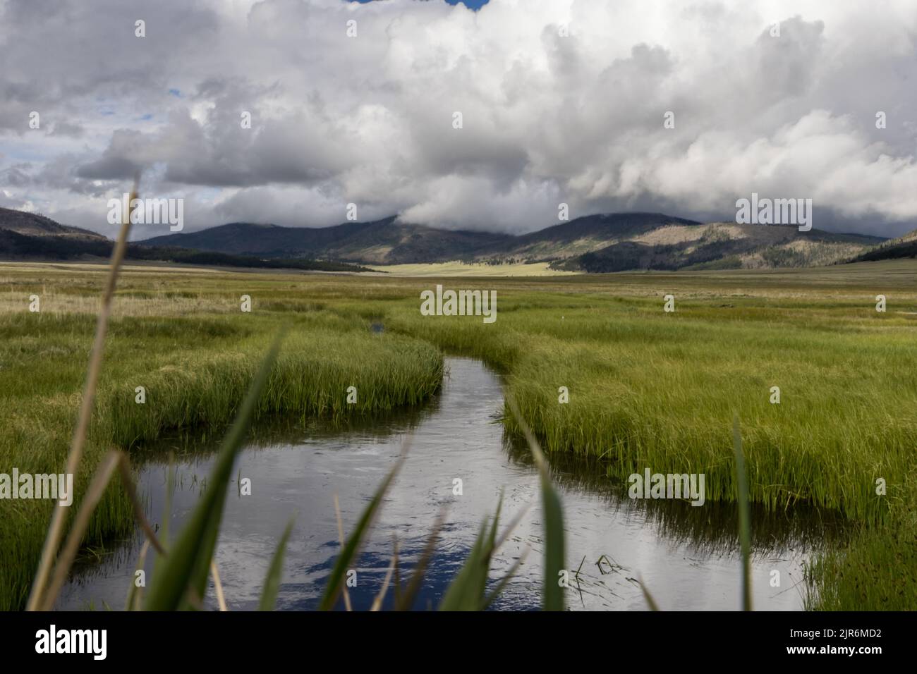 A peaceful stream flowing through a field with a mountain landscape and ...