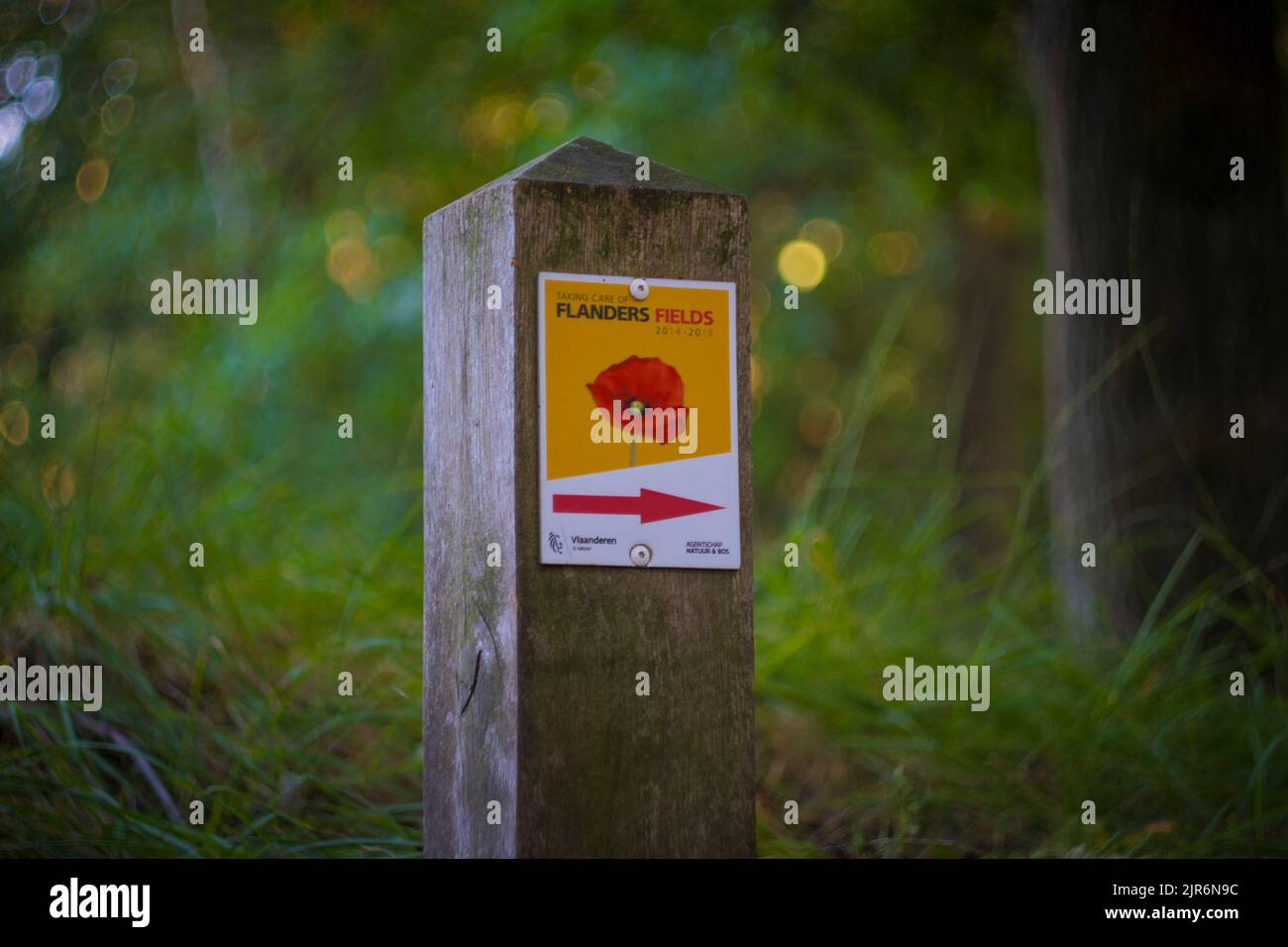 Kapellen, Belgium, August 2022: Flanders Fields signpost on a WWI ...