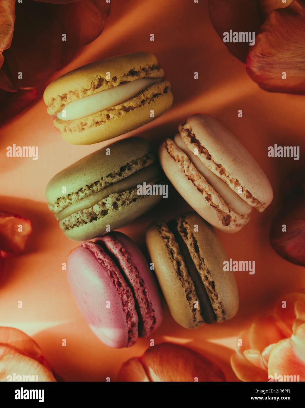 A top view of colorful macarons surrounded by tulip petals, a vertical ...