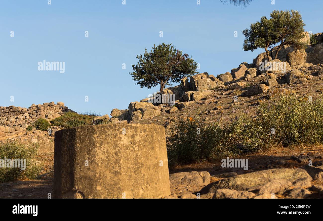 View of historical ruins and small olive trees captured in the temple ...