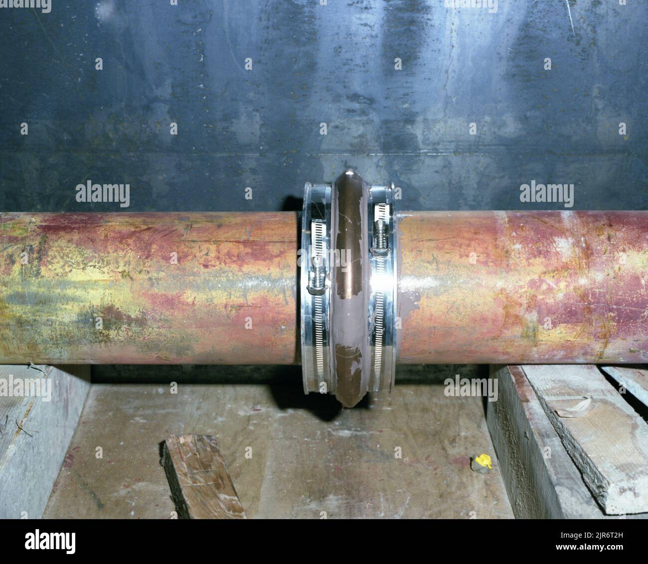 Seal relate hi-res stock photography and images - Alamy