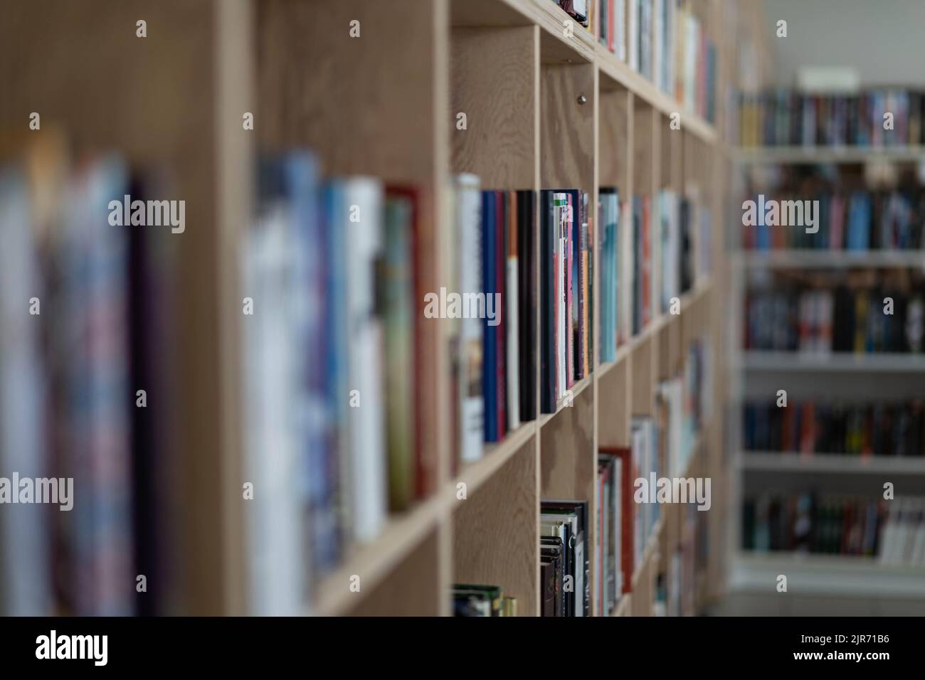 Shelves with books in a bookstore. Education and development. Blurred ...