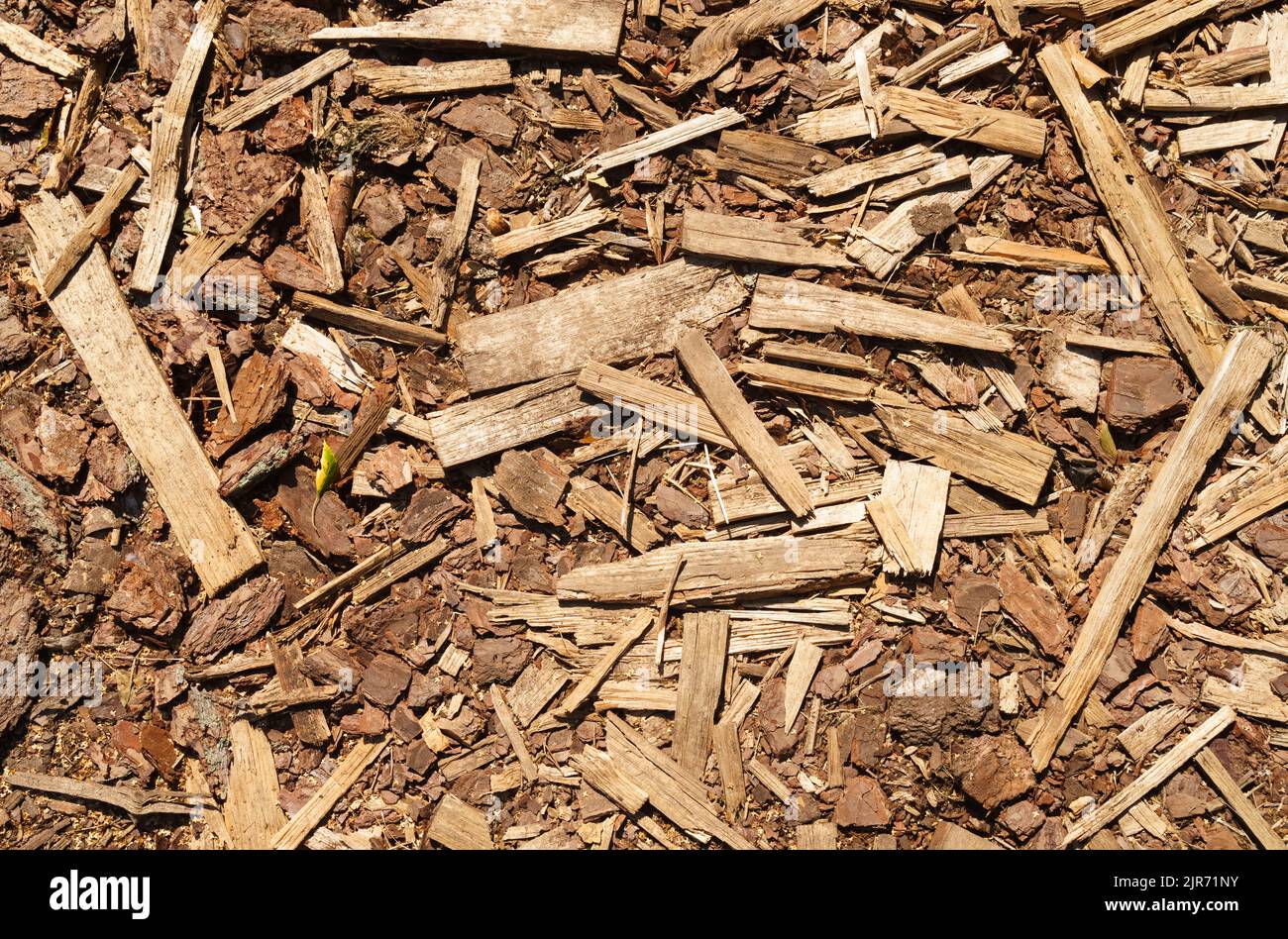 Background texture of small wood chips and bark. Textures and ...