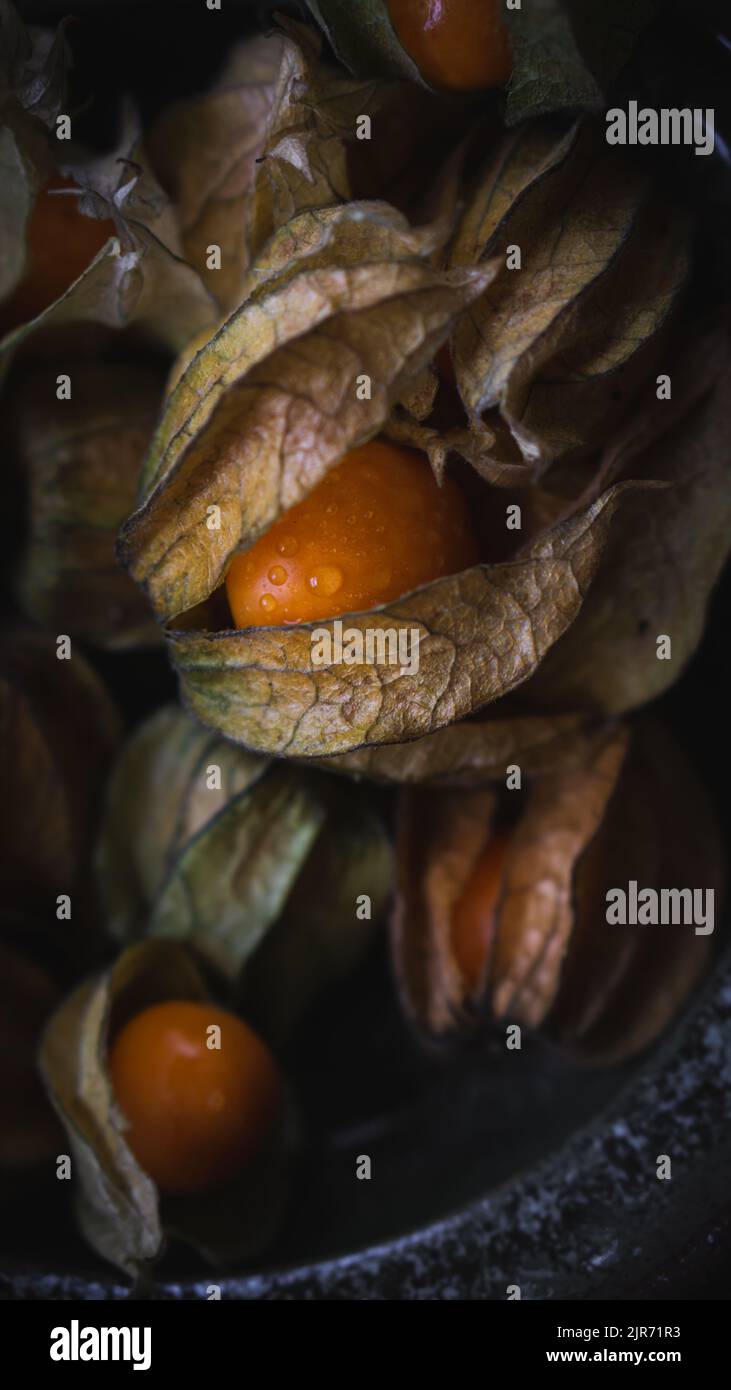 Incaberry hi-res stock photography and images - Alamy