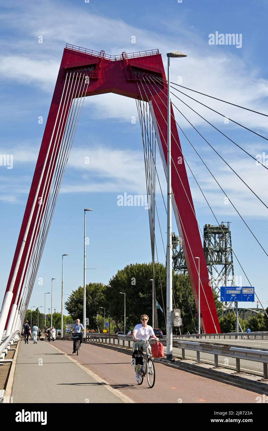 Rotterdam, Netherlands - August 2022: People riding bicycles in the ...