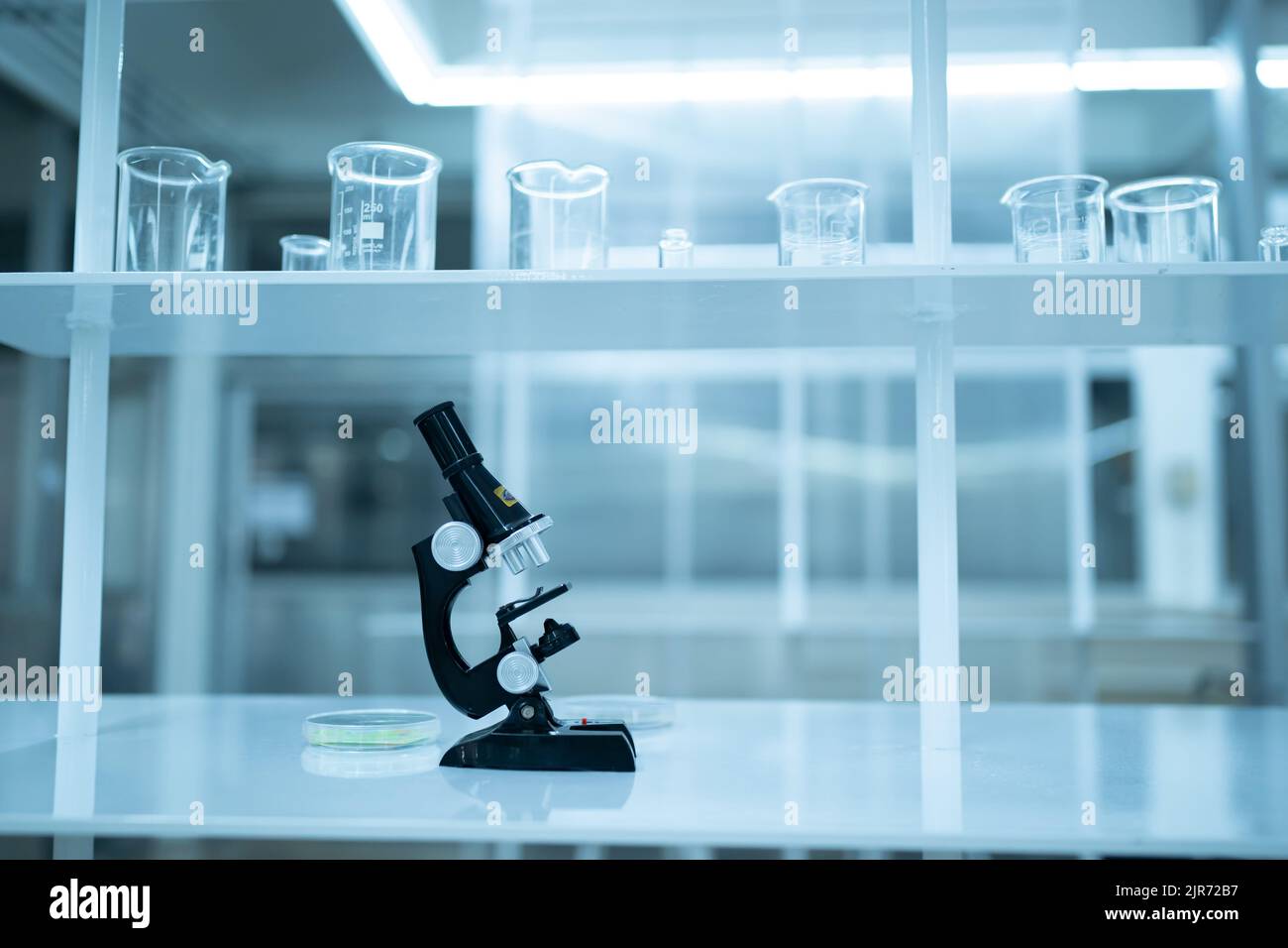 scientist doing research on plants holding a green solution in a test ...