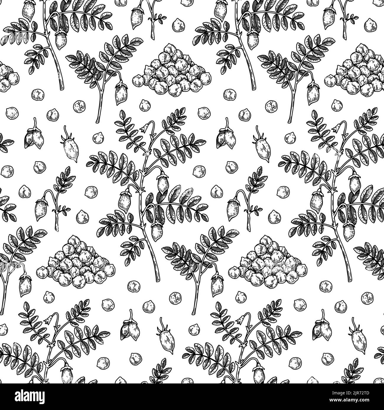 Hand drawn chickpeas seamless pattern. Vector illustration in sketch ...