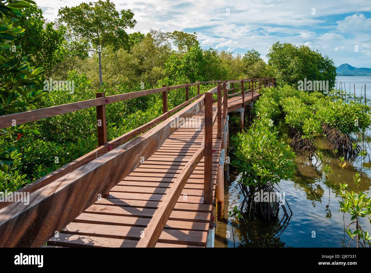 A narrow bridge over water surrounded by green lush trees in Leyte ...