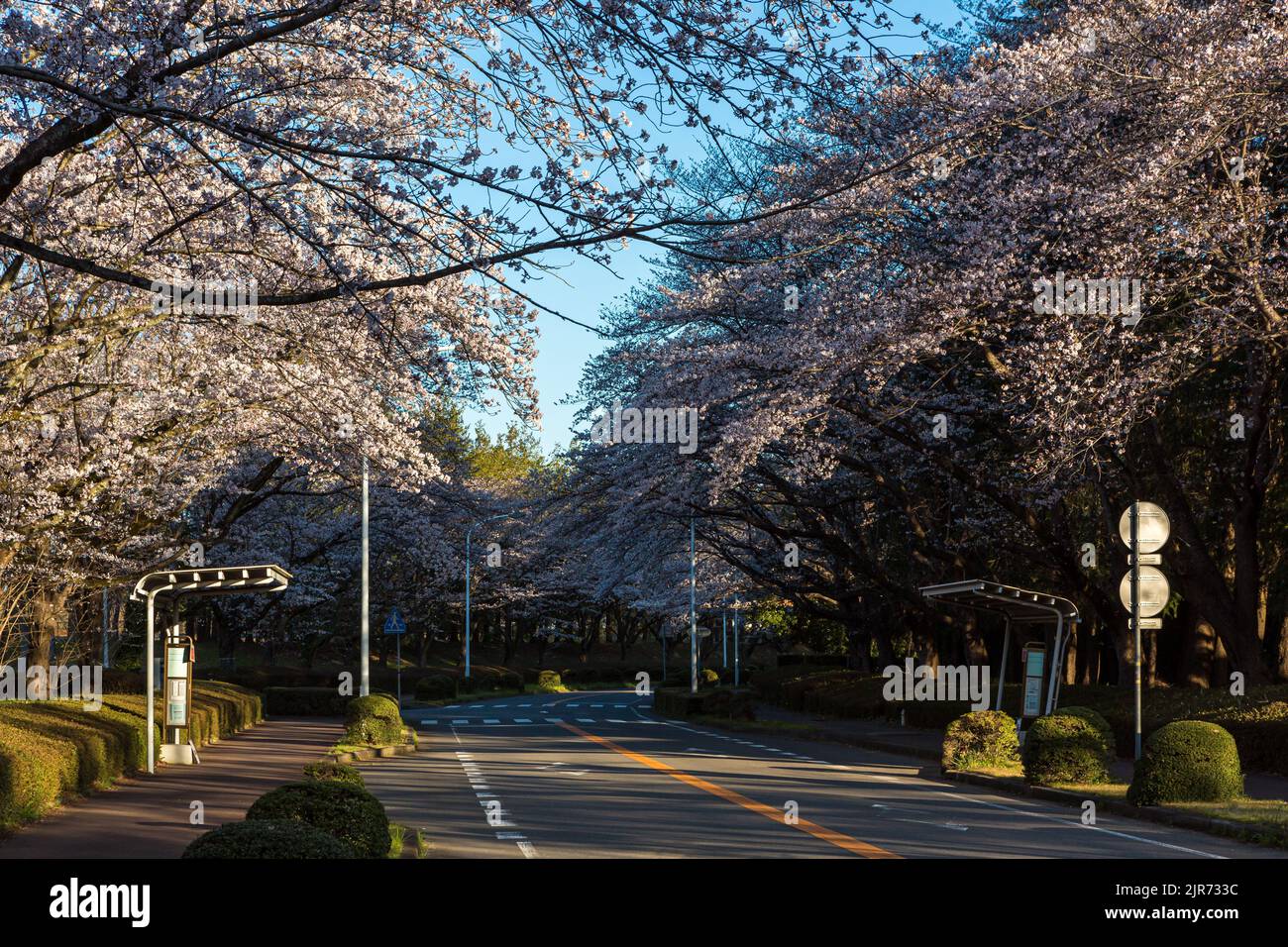 Tsukuba city hi-res stock photography and images - Alamy