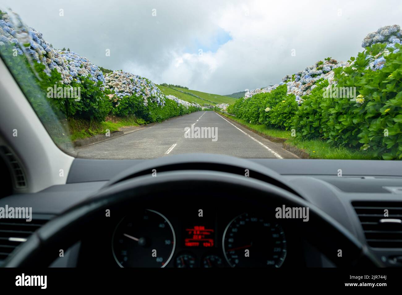 Driver view to road landscape with hydrangeas flowers. View from inside ...