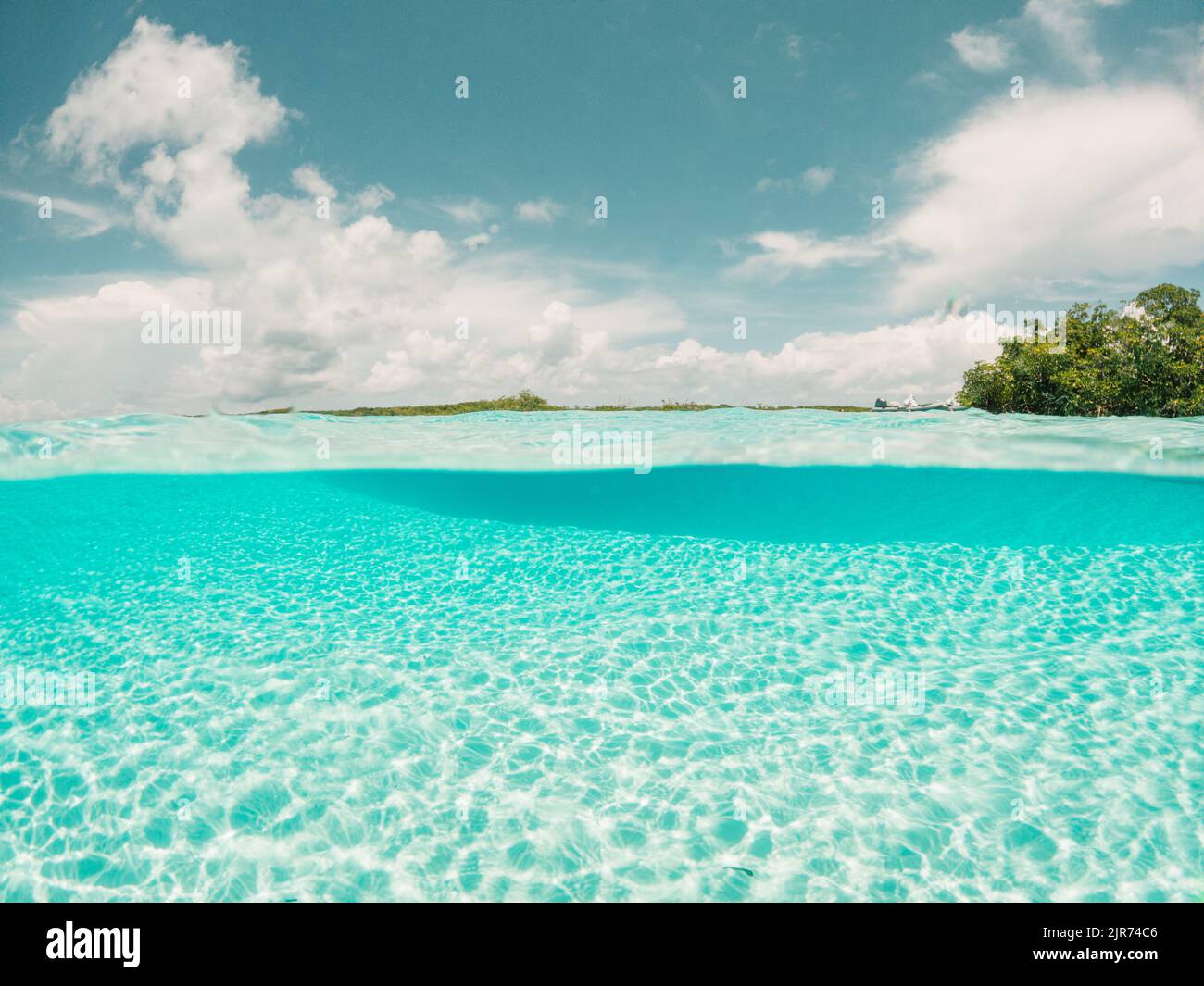 Half underwater view island in hi-res stock photography and images - Alamy
